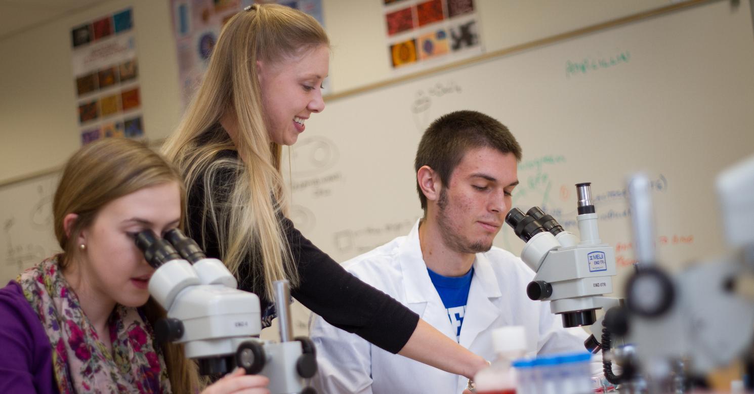 Biology professor awarded highest faculty honor - Longwood University
